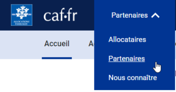 Ateliers "Cdap" Consultation du dossier allocataire par les Partenaires ...